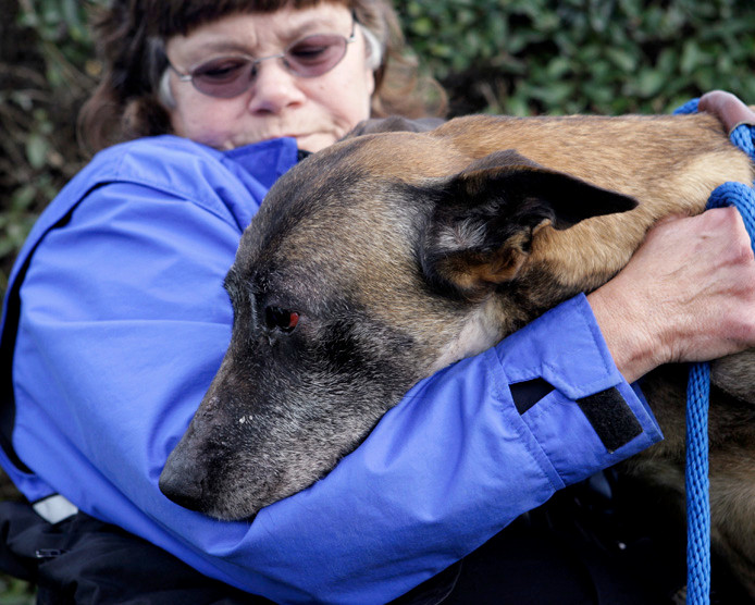 Dog trainer to Seattle's famous presumed murdered - The Sumter Item