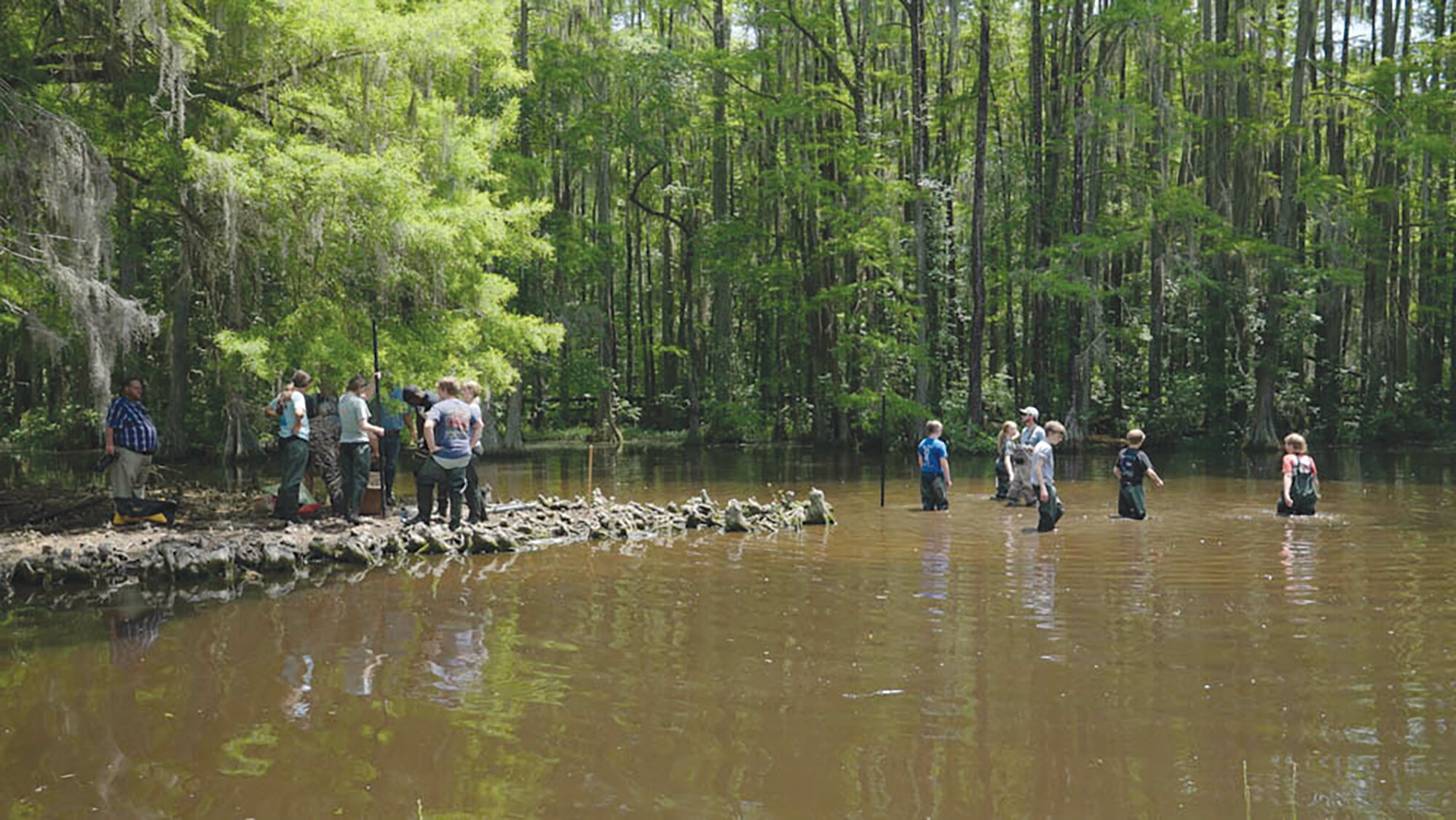 Alice Drive Middle School students install nesting boxes for Swan Lake ...