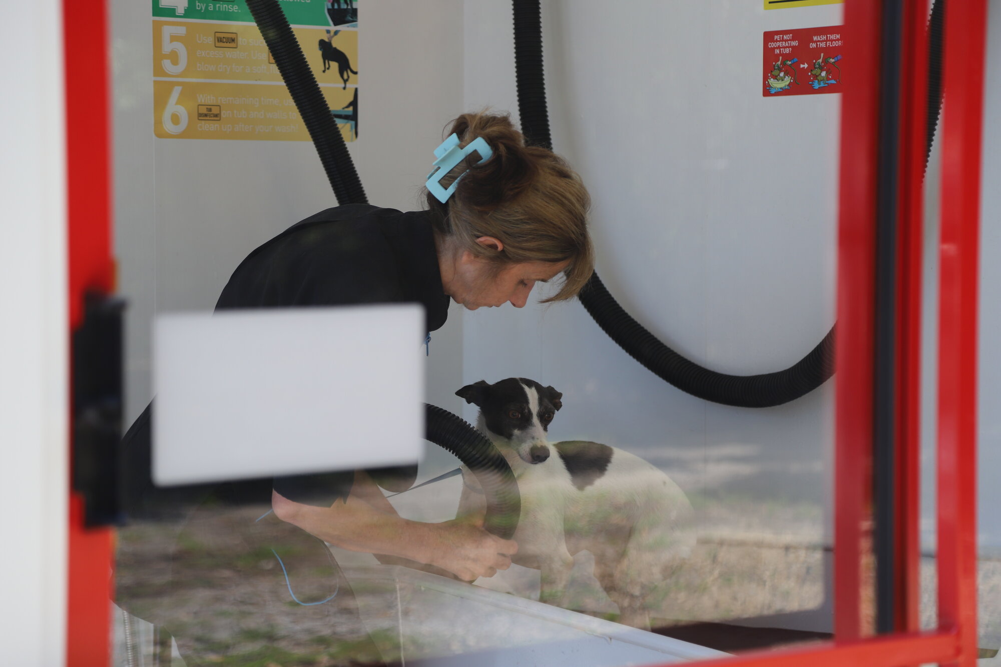 Sumter SPCA's new self-service dog wash station gets 2 paws up - The ...