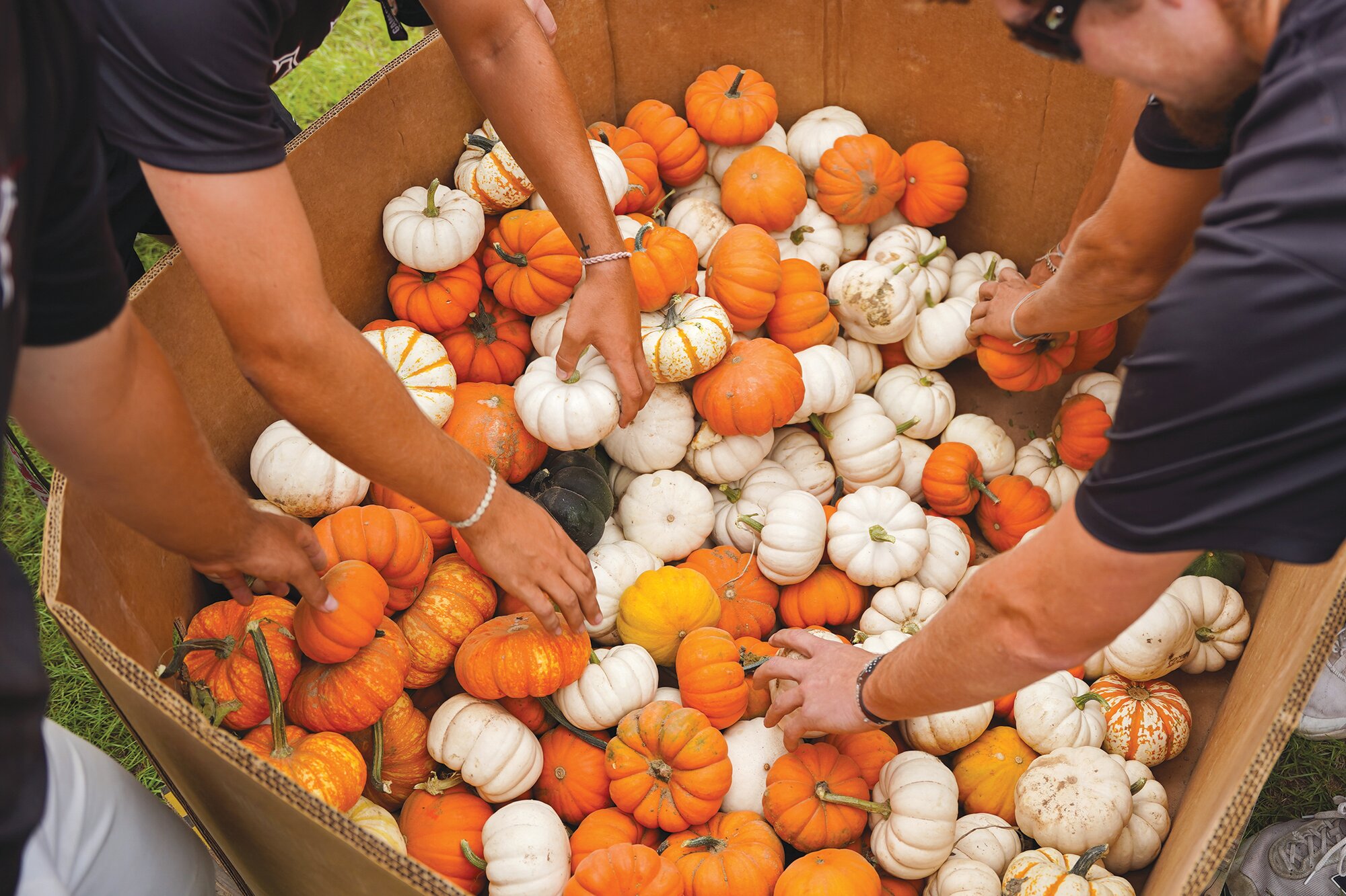 Pumpkin patch returns to Aldersgate United Methodist Church in Sumter ...