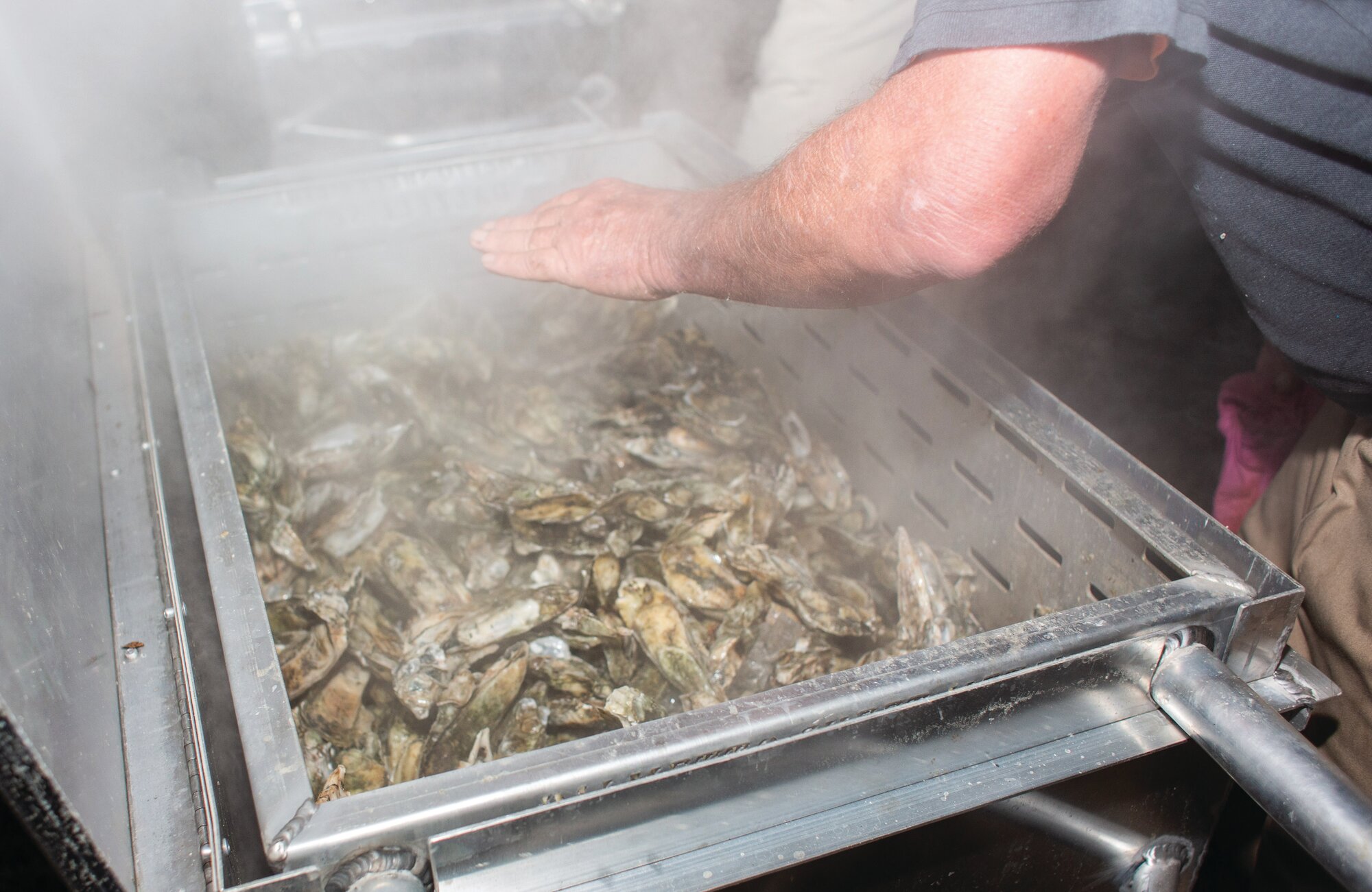 Sumter County Museum to host 25th-annual Oyster Roast on Nov. 16 - The ...