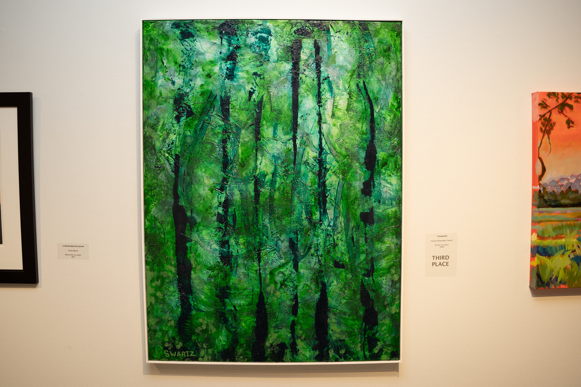 Sumter Artists Guild announces exhibition winners and shares its plans ...