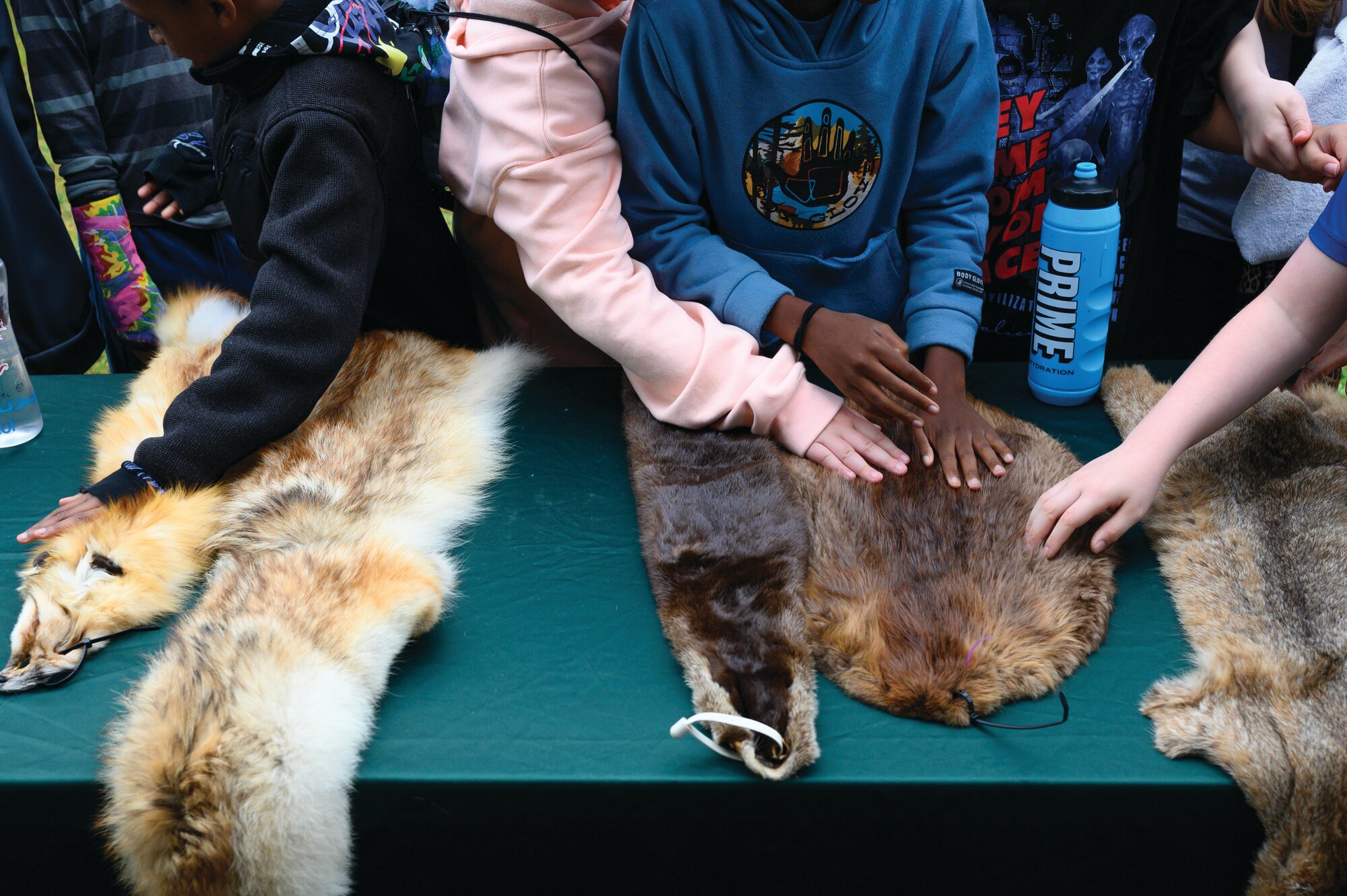 High Hills Elementary celebrates Earth Day - The Sumter Item