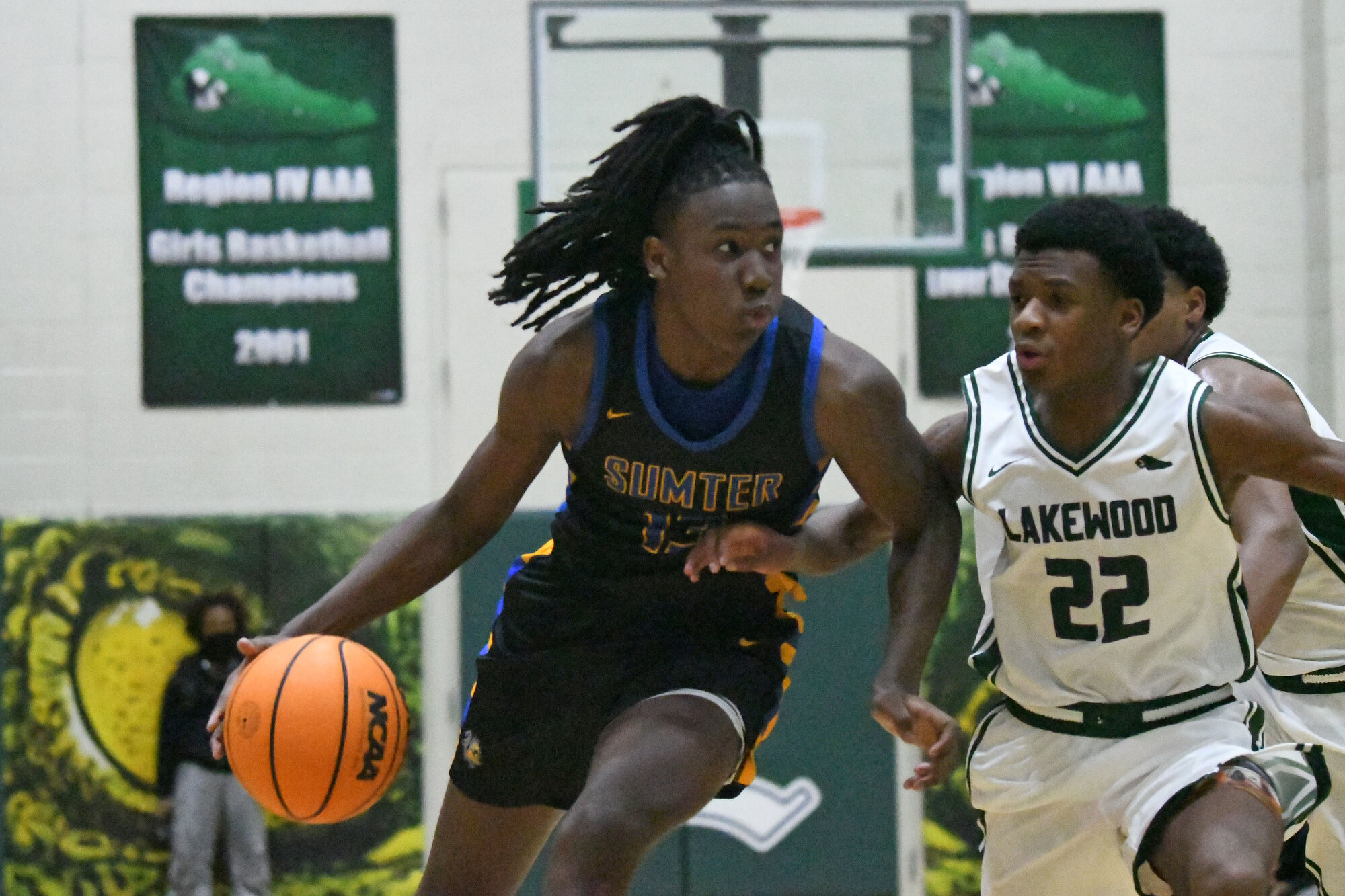 Gamecocks sweep Lakewood in 1st Sumter County matchup - The Sumter Item
