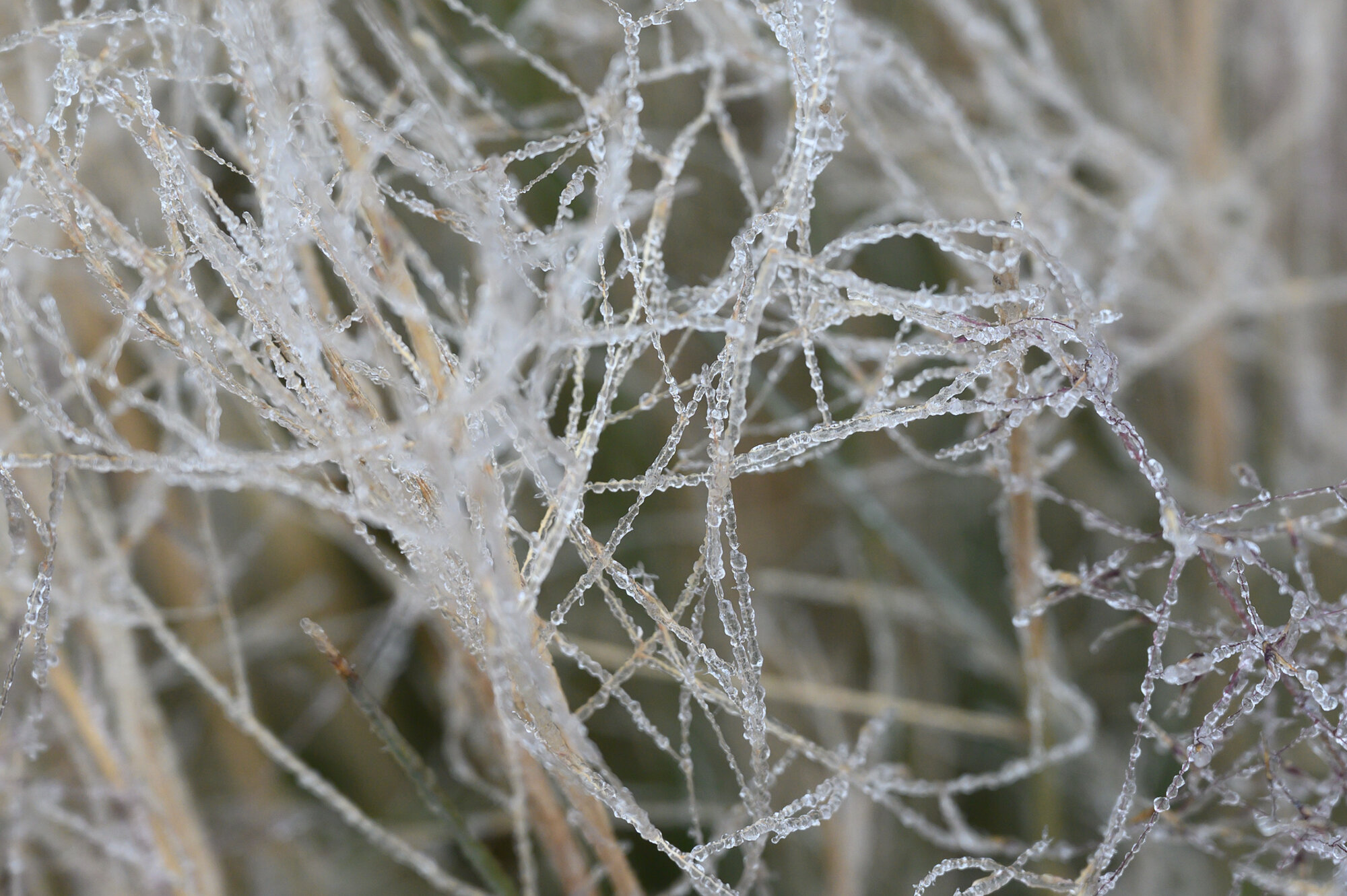 Local leaders praise teamwork ahead of, during Winter Storm Fern - The ...
