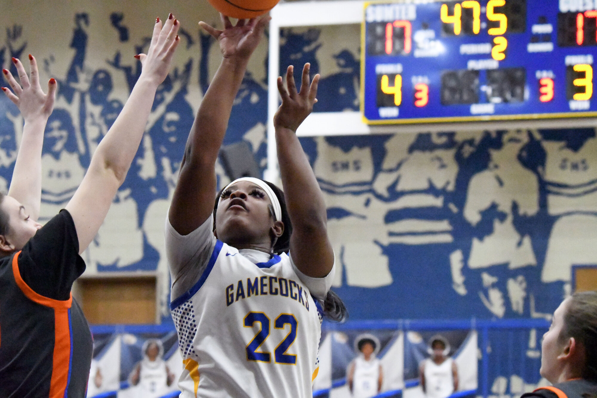 PHOTOS: Sumter High girls basketball hosts James Island in SCHSL 5A DI ...
