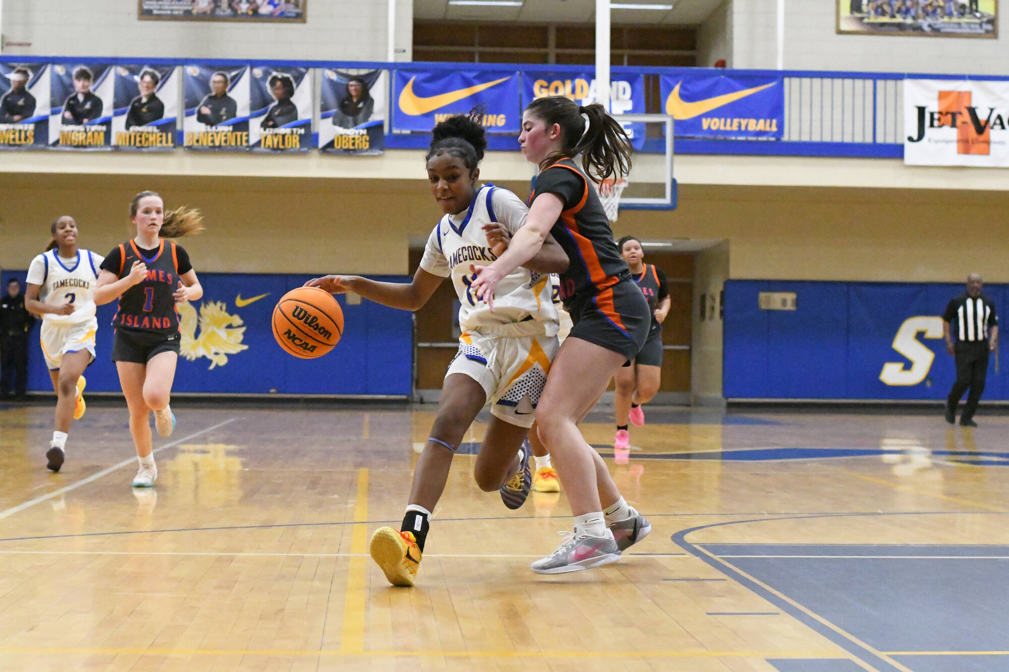 PHOTOS: Sumter High girls basketball hosts James Island in SCHSL 5A DI ...